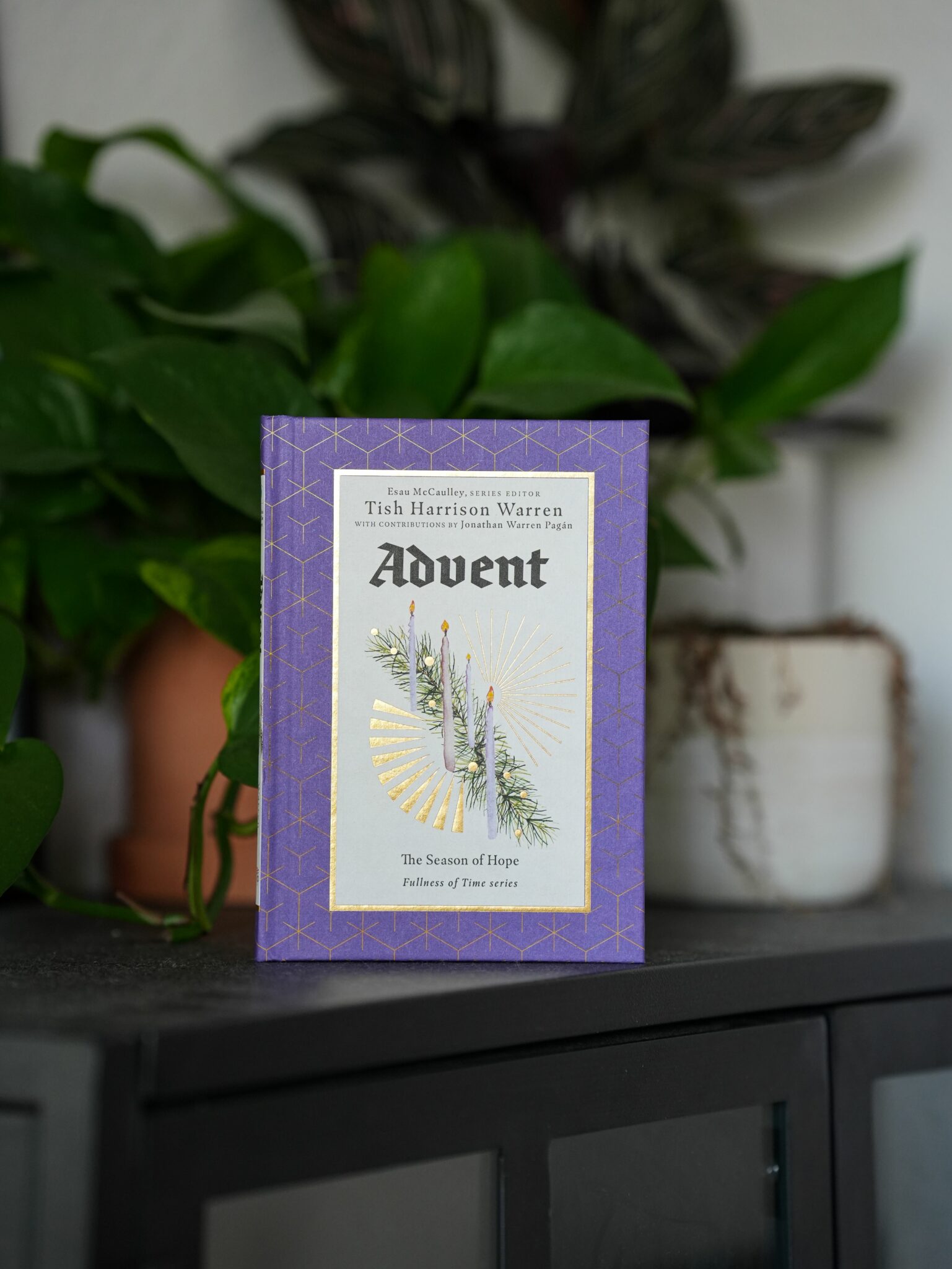 Advent: The Season of Hope by Tish Harrison Warren · The Fullness of ...